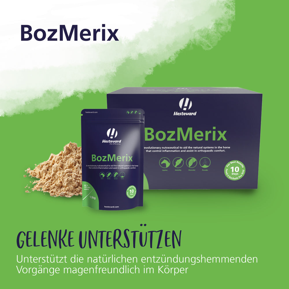 Haygain HG600 Heubedampfer jetzt kaufen | FS animal health